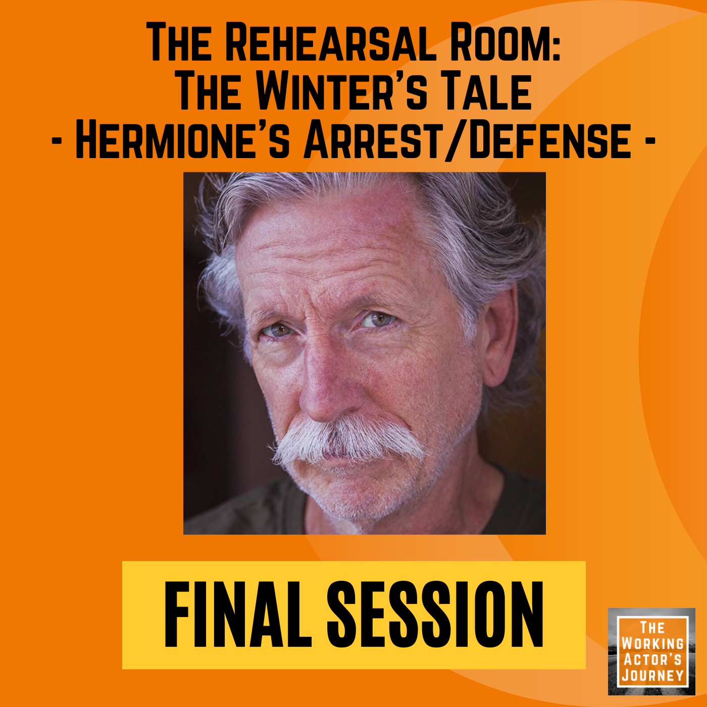 Final Session: "The Winter's Tale" arrest/defense in The Rehearsal Room